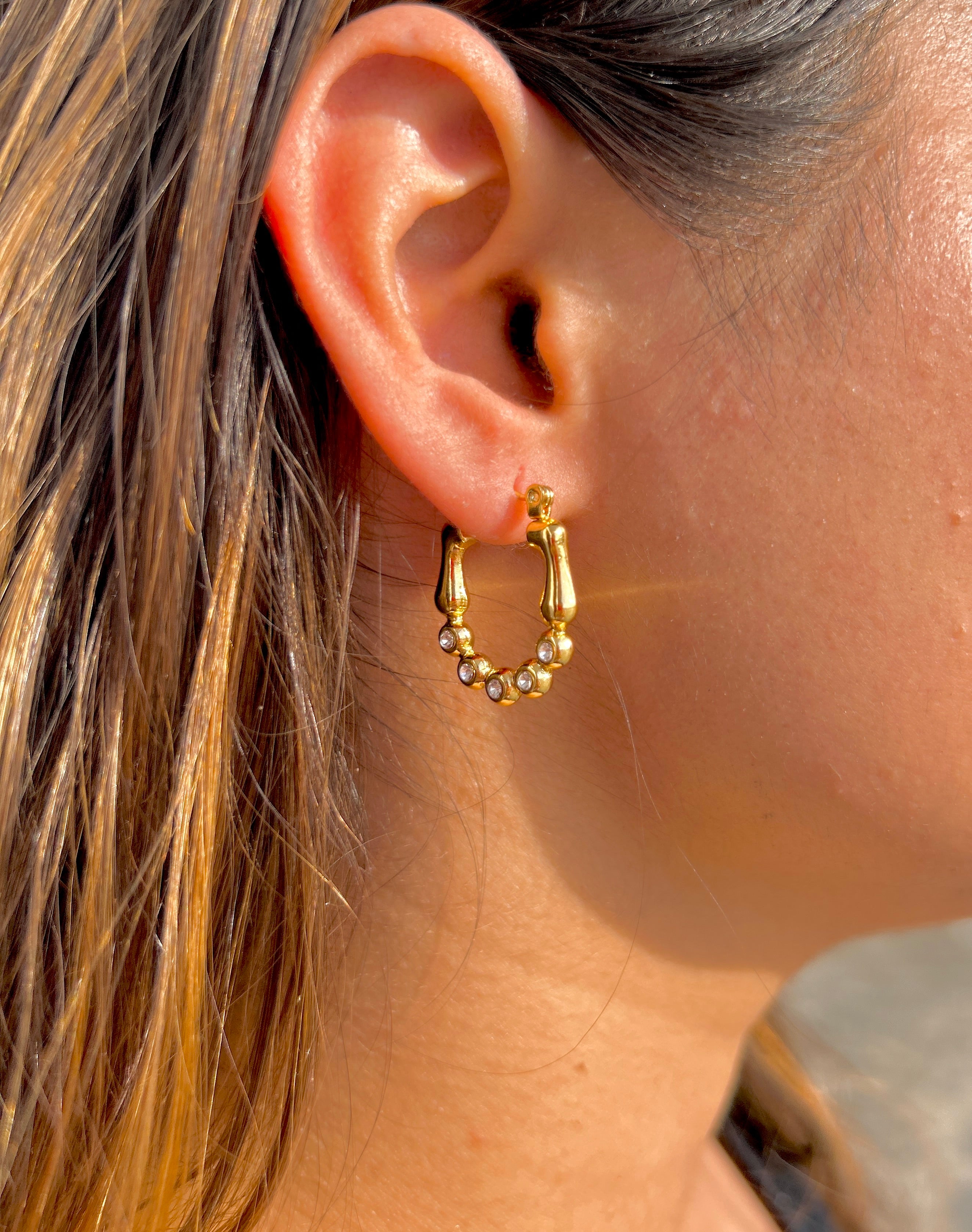 Bedazzle Zircon 18k Gold Plated Earrings – Terrana